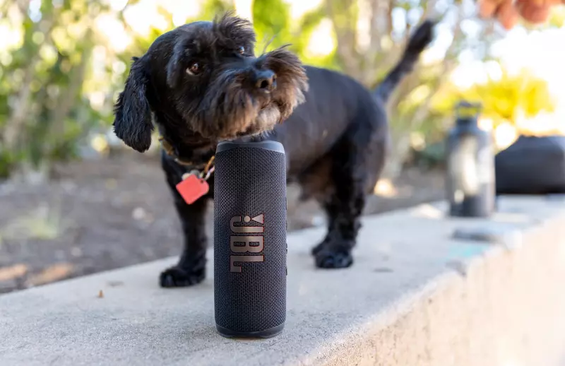 JBL FLIP 6